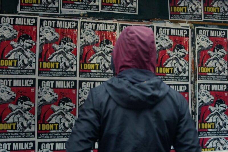 Using Art As a Method for Social Change: Igniting Compassion and ...